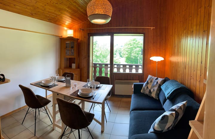 Les ÉCureuils - Studio Vue Sur Le Mont Charvin - Praz-sur-Arly