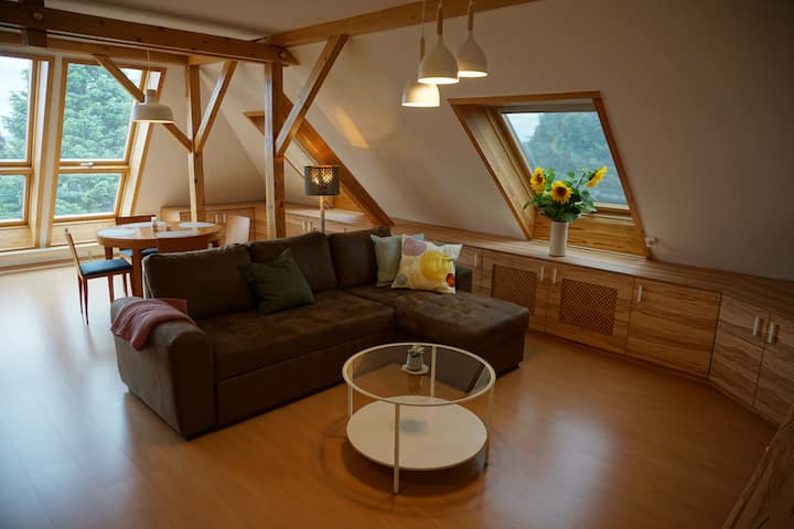 Apartment Mit Ausblick Im Dresdner Südwesten - Dresden