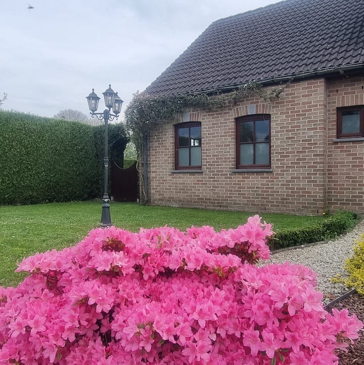 Villa Mariposa - Brugelette