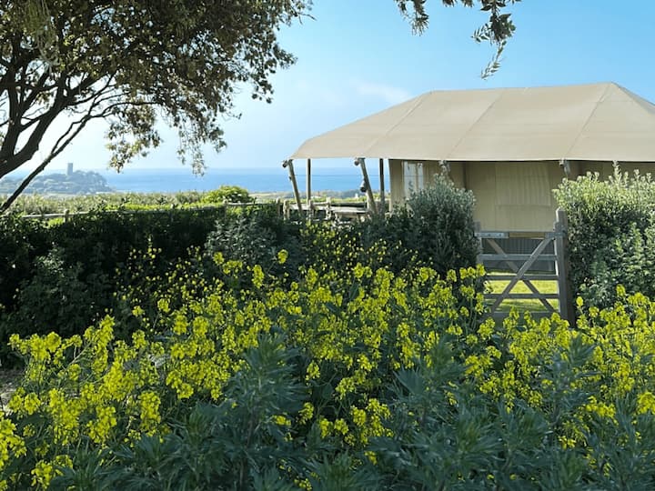 Hanois - Safari Tent - Guernsey
