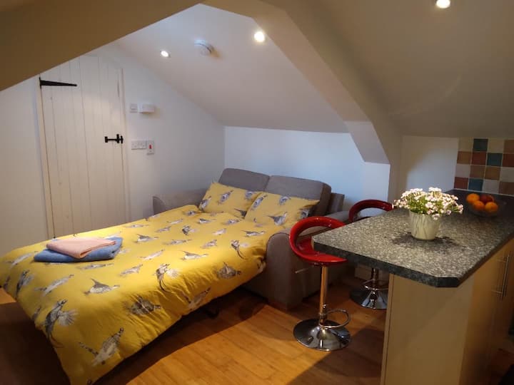 Private One Bed Studio Room With Ensuite Bathroom - Bude