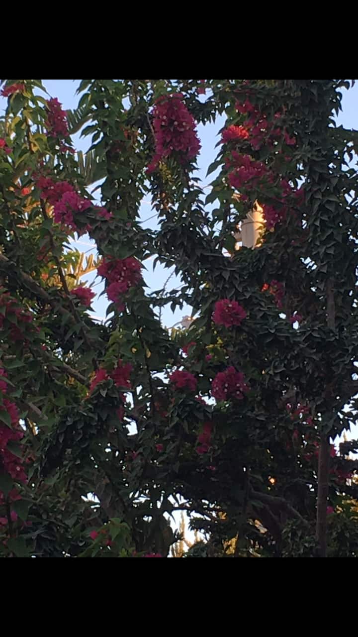 Müstakil Havuzlu Keyfli Villa - Datça