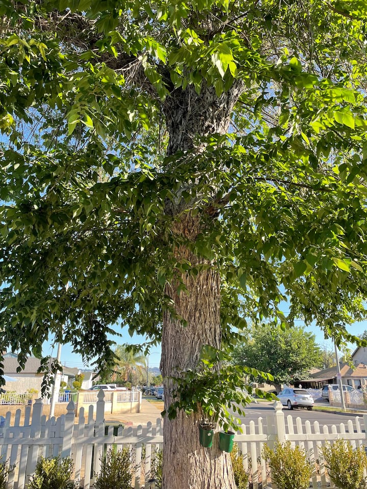 Sunshine On Sylvan! - Los Angeles, CA