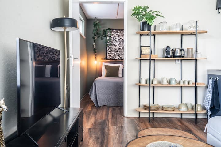 The Lion King - 6 P Apartment With Roof Terrace - Groningue