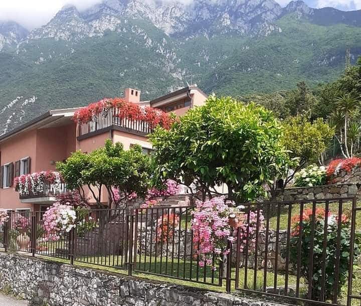 Papinga's Home Holiday - Italy