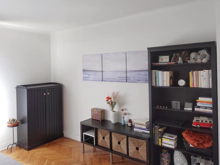 Appartement Climatisé Au Centre-ville Strasbourg - Strasbourg
