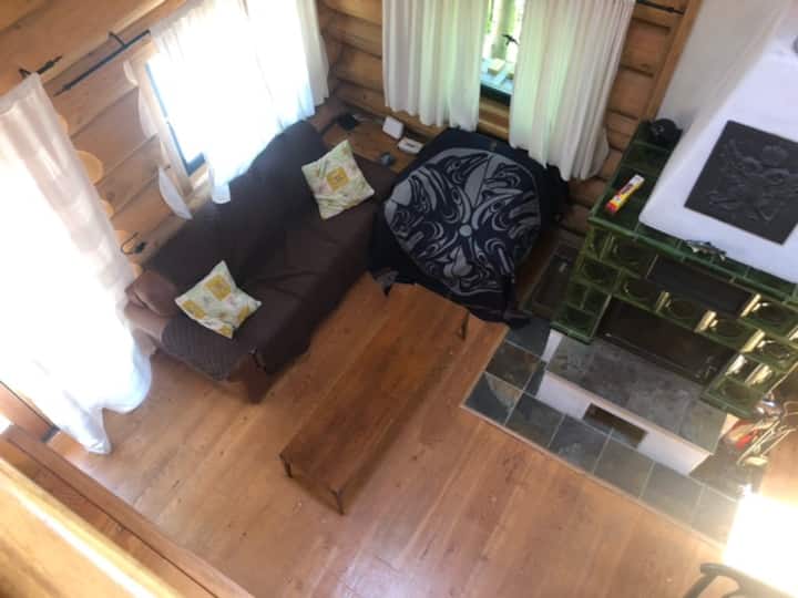 Loghouse Lodge With Glacier View And Private Natural Swimming Pond - Squamish