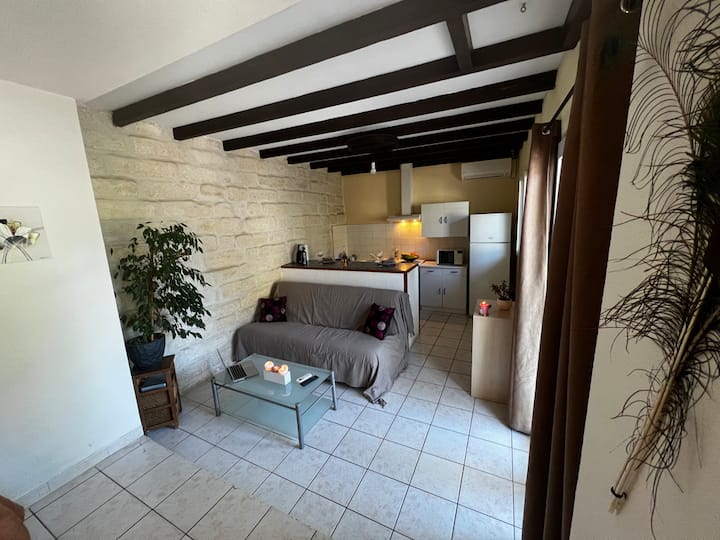 Logement Entier 50m² Situé Au Cres Avec Jardin - Vendargues