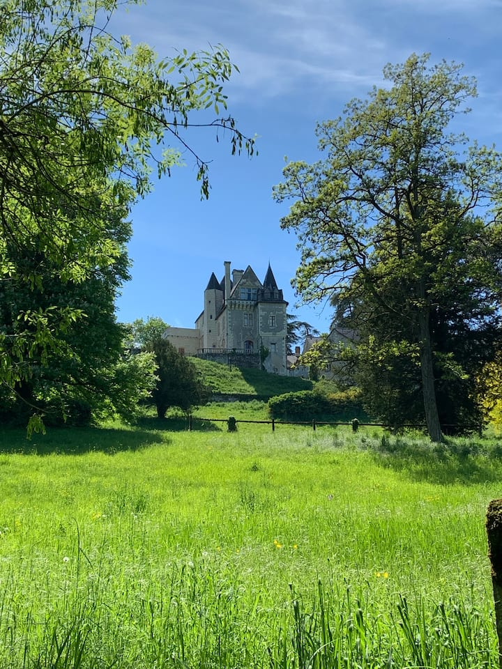 Château Avec Vue Sur L'horizon - Bourgueil