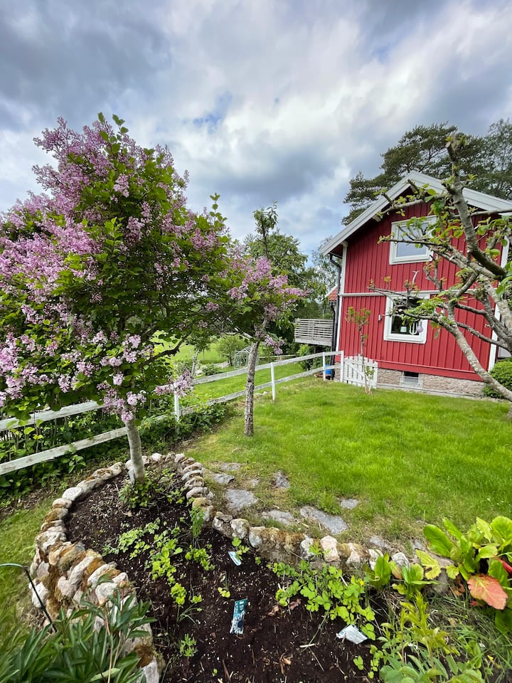Trevligt Fritdshus Med Bubbelpool. - Henan