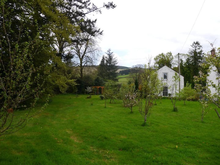 `3 Bedroom Cottage In Moniaive - Lochinvar