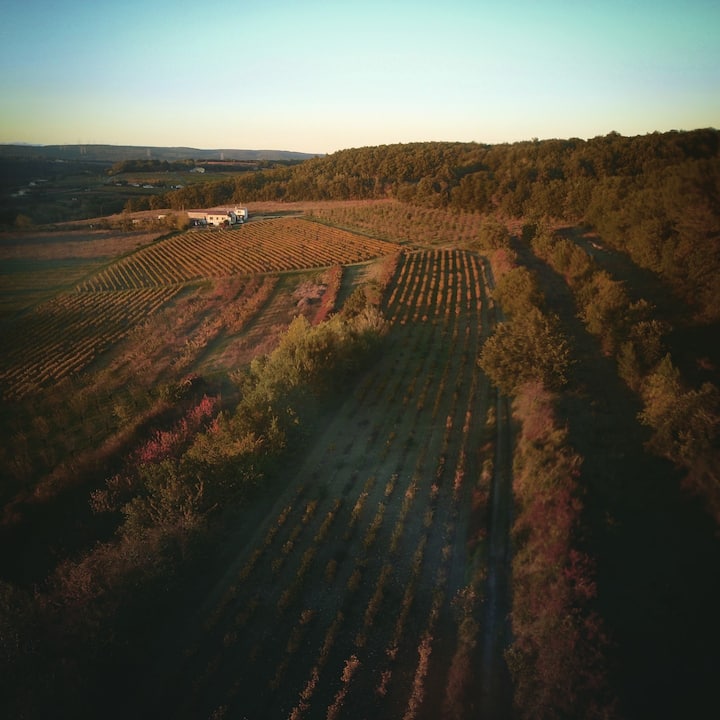 Créateur De Belles Histoires En Provence, - Saint-Martin-d'Ardèche