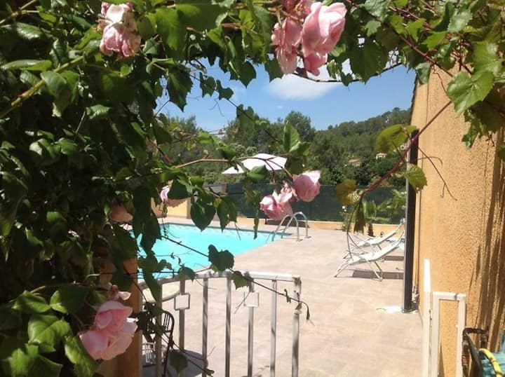 La Villa Cerisier, Maison Provençale Avec Piscine - Carcès