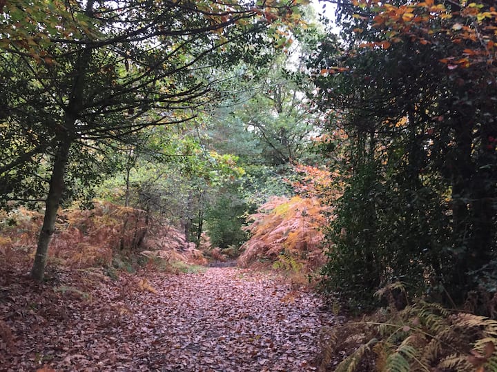 Se Mettre Au Vert à 50 Minutes De Paris - Yvelines