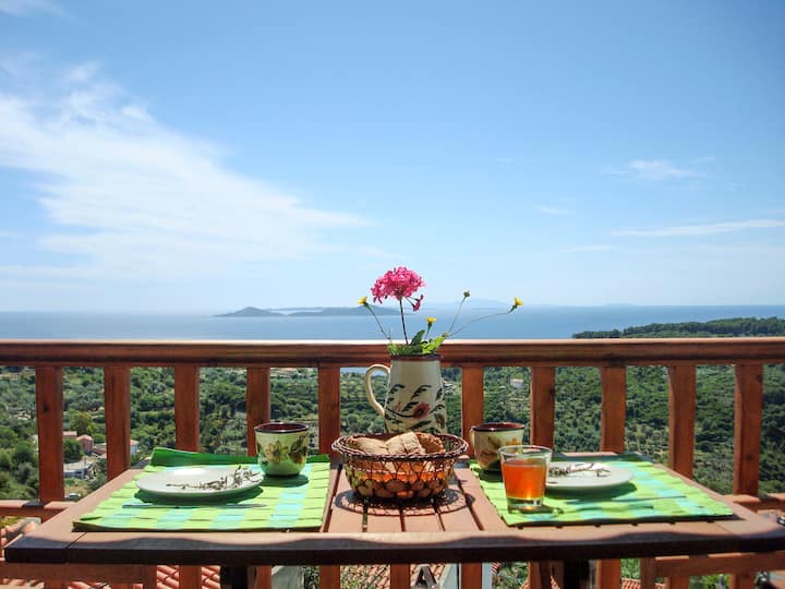 Ενιαίο διαμέρισμα με απεριόριστη θέα - Alonnisos