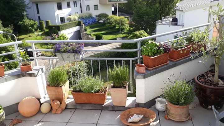 Schöne Maisonette In Bestlage Mit Weitblick - Wiesbaden