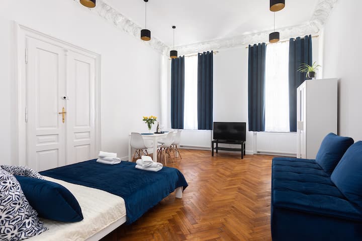 Spacious Apartment In The City Center - Kraków