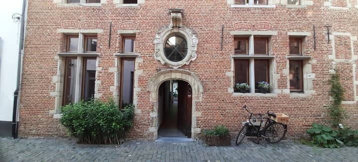 Beautiful Apartment In Heritage House, Mechelen! - Rumst