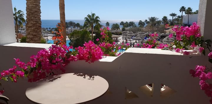 Studio Bijoux Sea View Domina - Sharm El-Sheikh