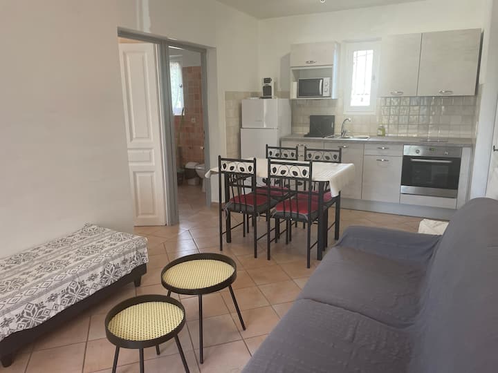 Appartement Avec Une Chambre Et Terrasse - Vidauban