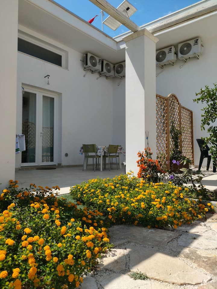 Blue Reef Puglia: Il Cavalluccio Marino - Molfetta