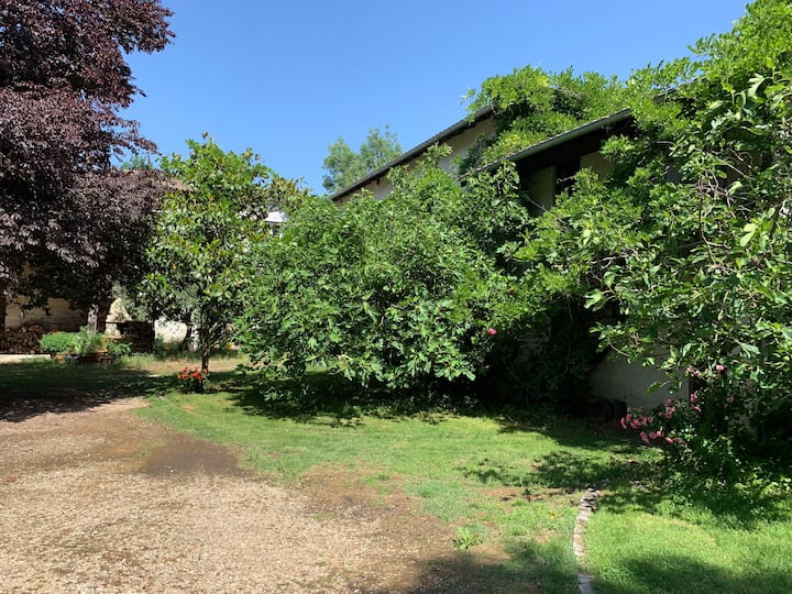 Nature, Piscine, Jeux, A6 Sortie 30 à 5 Mn - Thoissey