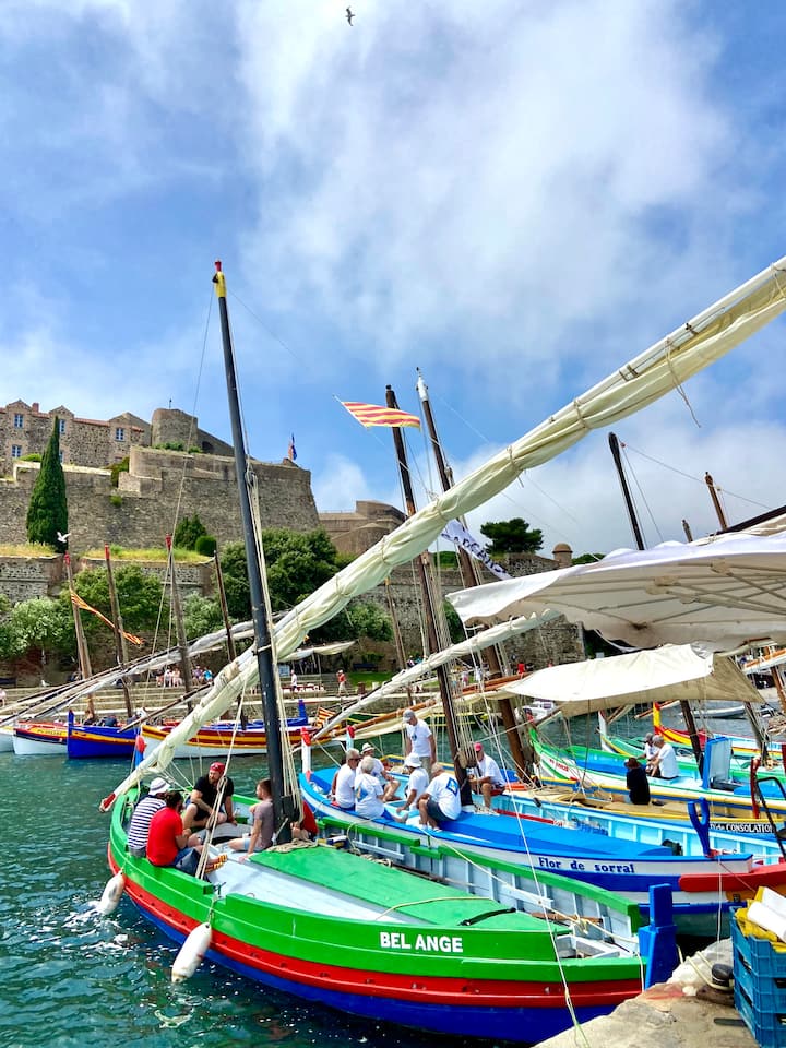 Collioure Fisherman's House With Sea Views - Collioure