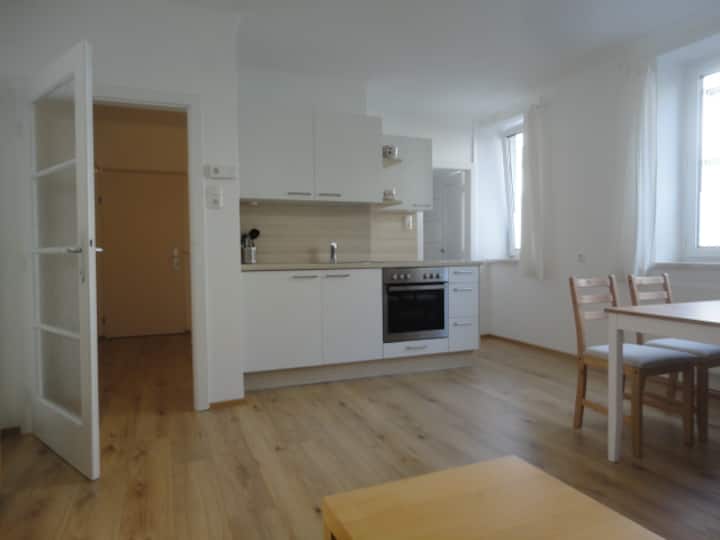 Ruhiges, Zentrales U. Neues Stadtapartment - Linz