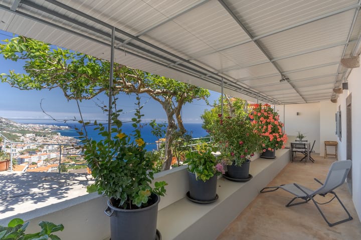 Marcellino Pane E Vino Iii - Madeira