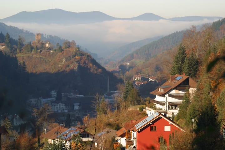 Large Apartment Close The Forest With A Great View - Hornberg