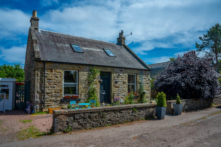 St Andrews Open 2022 Entire Detached Cottage - Saint Andrews