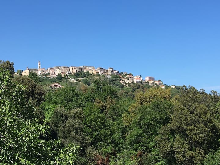 Appartement Dans Une Maison De Village. - Lucciana