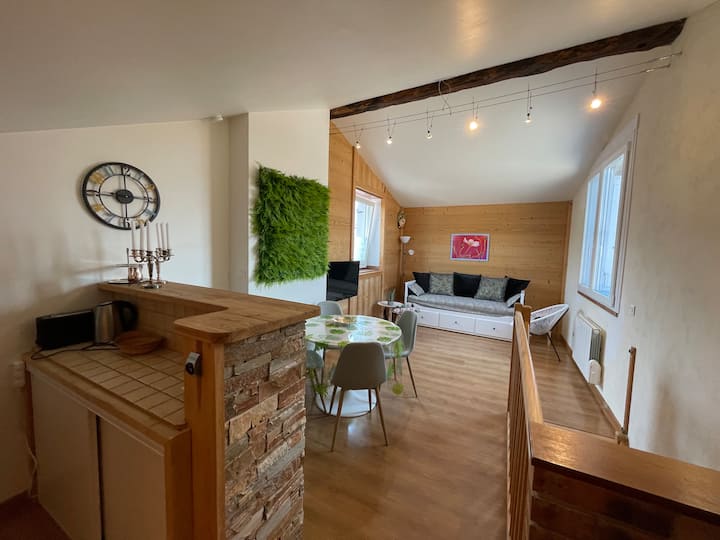 Hyper Centre Piéton, Duplex Lumineux à 5 Mn Gare. - Embrun