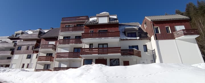 Studio De Montagne Au Pleynet - Vaujany