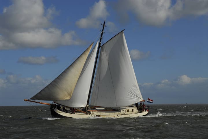 Enjoy Shipstays In Amsterdam! - Amsterdam