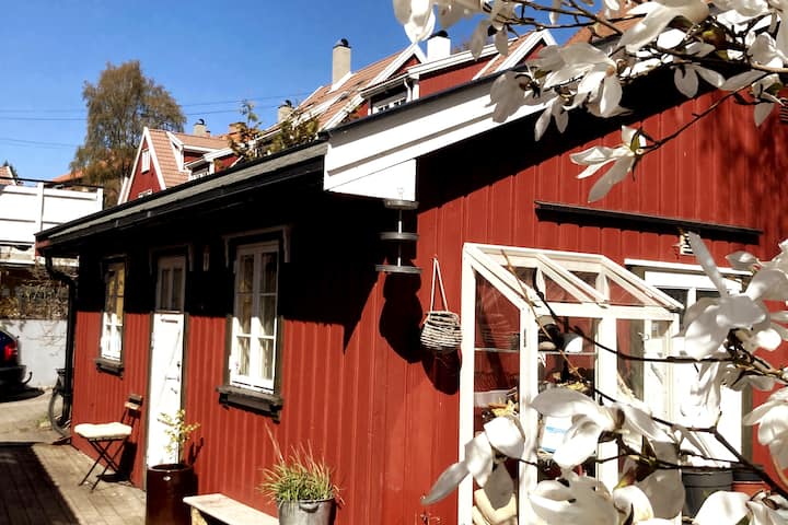Eget Minihus Med Parkering I Hjertet Av Oslo - Oslo