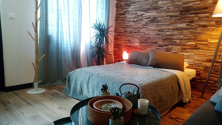 Magnifique Chambre à Louer Dans Un Havre De Paix - Thonon-les-Bains