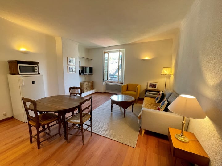 Barcelonnette : Joli Appartement Cosy Centre Ville - Barcelonnette