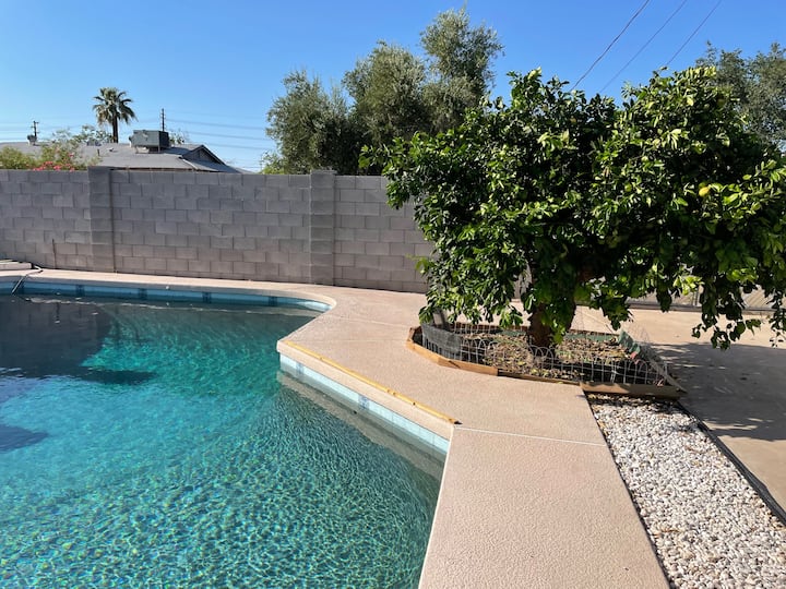 Cheerful Pool Home/pet Friendly - Mesa