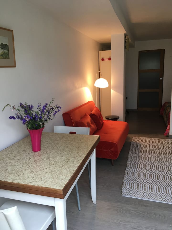 Charmant Studio Donnant Sur Jardin, Près Du Métro - Balma