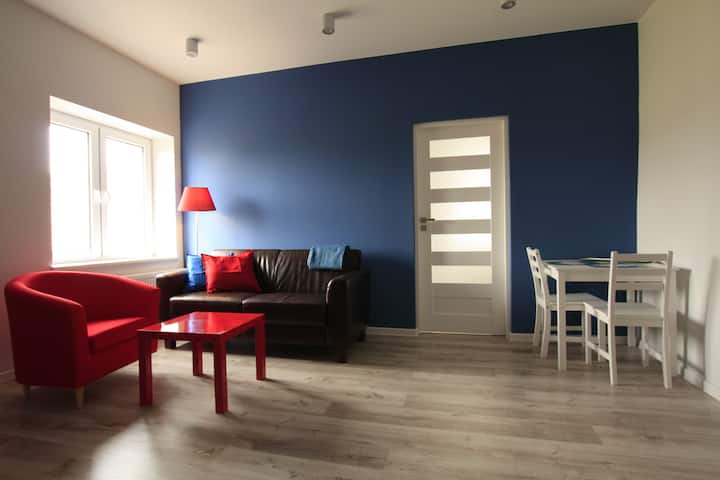 Large And Cosy Apartment In Lodz - Łódź