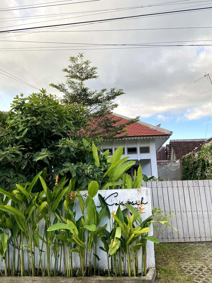 Kosasih 1919: A Dutch Retro House & 2 Garden Rooms - Banyuwangi
