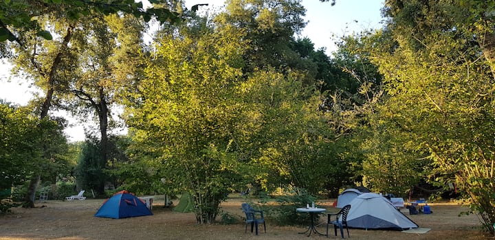 3 Camping Chez L'habitant à 20 Mn De L'océan/lacs - Sainte-Eulalie-en-Born