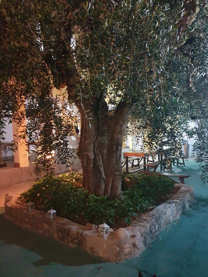 Villa Lucia 1 - Vieste