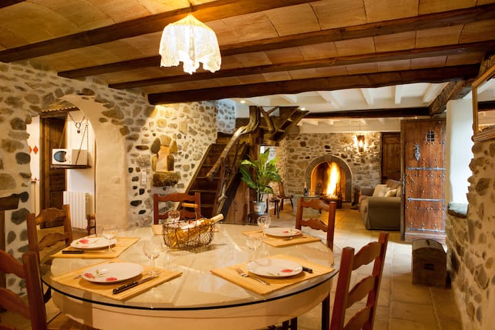 Moulin Chaleureux Avec Cheminée - La Pierre Saint Martin