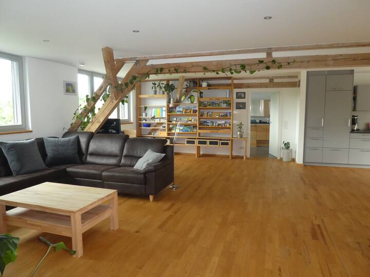 Altes Zollhaus Fischbach - Dg-loft - Fischbach bei Dahn