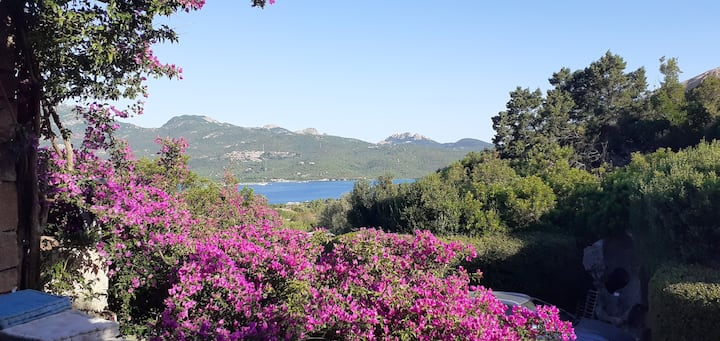 Appartamento Saetta Di Gallura, 2 Km Da P. Rotondo - Golfo Aranci