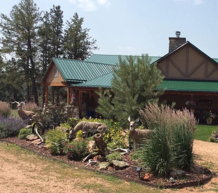 Secluded Ranch Apt. In Forest - Woodland Park, CO