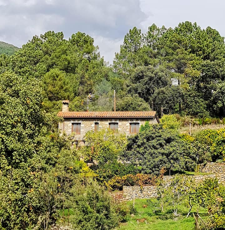 Casa Rural Independiente Con Maravilloso Jardín - Madrigal de la Vera