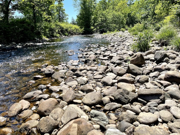 Cozy Tiny Home On Black River - Walk To Town - Vermont